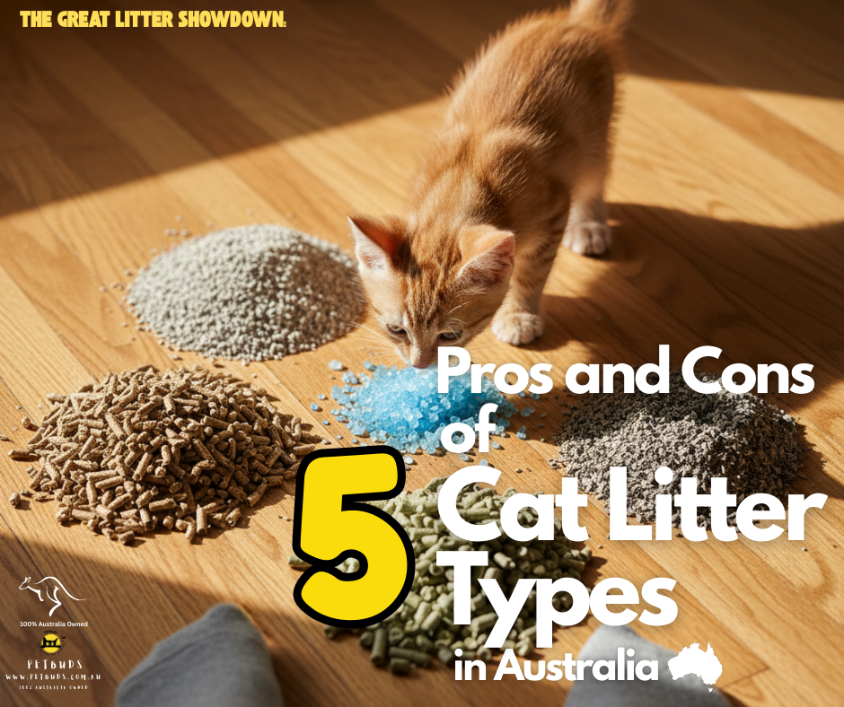 The Great Litter Showdown Pros and Cons of 5 Cat Litter Types in ...
